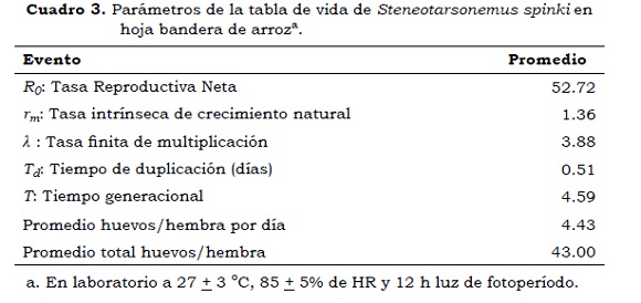 Parámetros poblacionales y comportamiento de Steneotarsonemus spinki ...