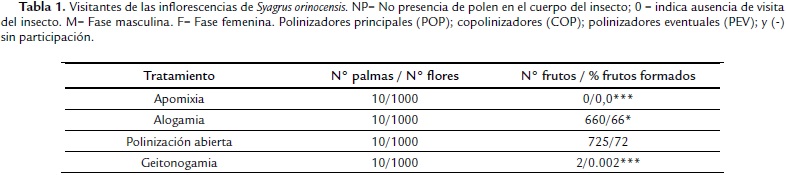 Polinización por abejas en Syagrus orinocensis (Arecaceae) en la ...