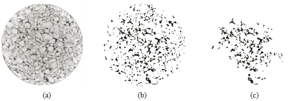 Figure 1. Grayscale image (a), and corresponding black and white images ...