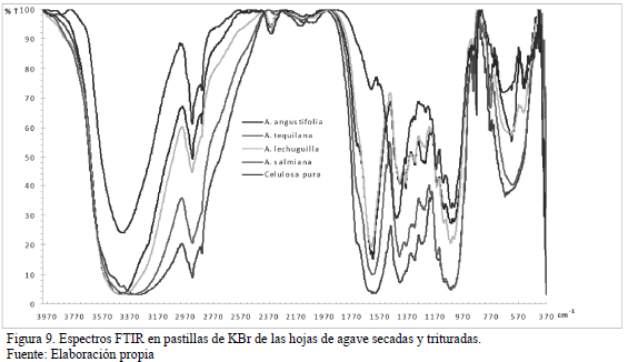 Caracterización fisicoquímica de cuatro especies de agaves con ...