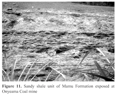 Untitled Document [revistas.unal.edu.co]