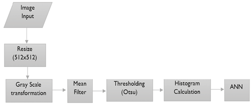 Figure 3. Digital image processing.
