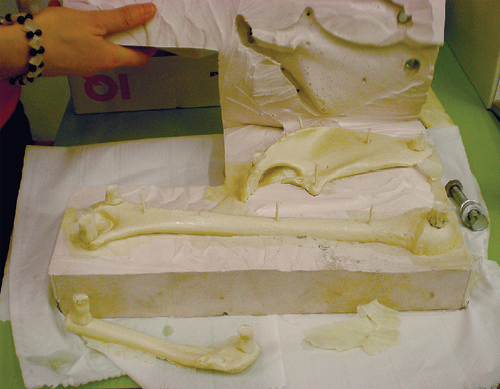 Kinematics based physical modelling and experimental analysis of the ...