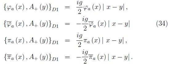 Now, we consider the subset of the remaining second class constraints ...
