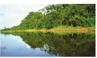 Trapecio amazónico: turismo e imaginarios sociales sobre un territorio ...