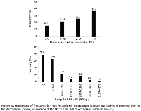 Monitoring soil microorganisms in avocado plantations.