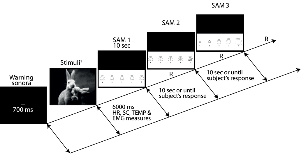 Association between risky behaviors in adolescents and altered ...